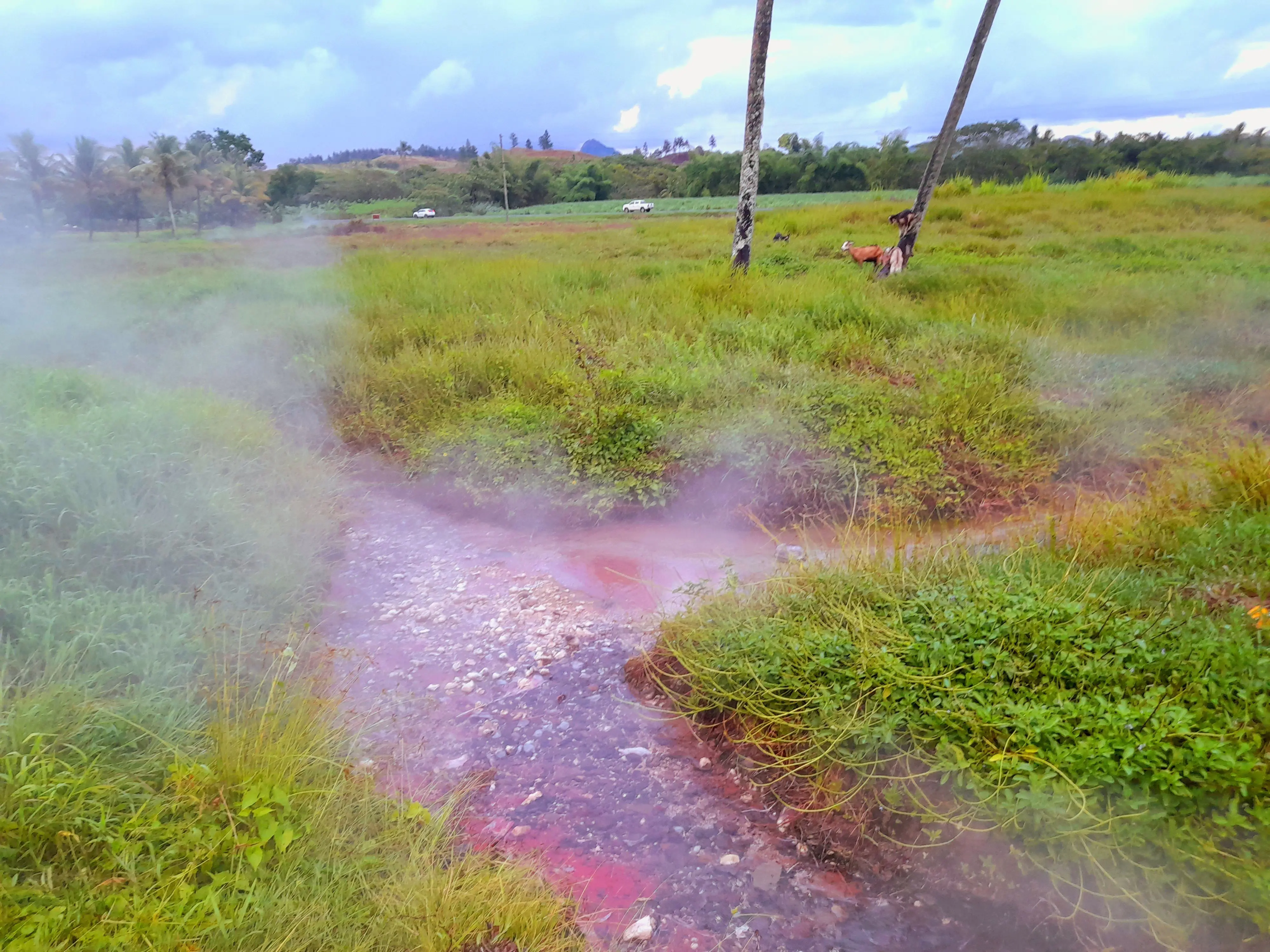 Discover Labasa: The sacred hot springs of Tabia | Fiji Sun