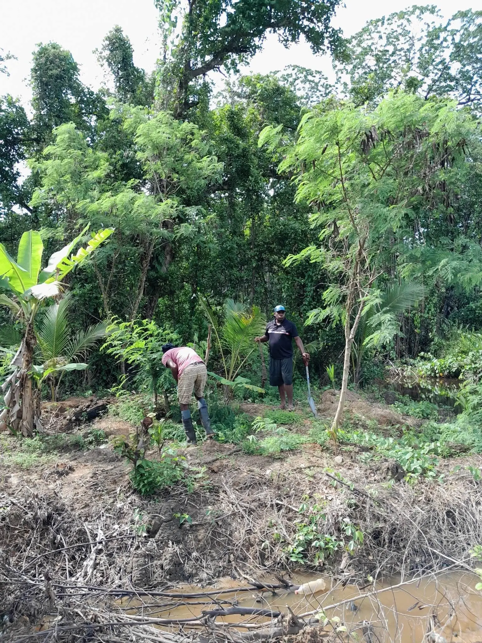 Tailevu youths urged to return and farm | Fiji Sun