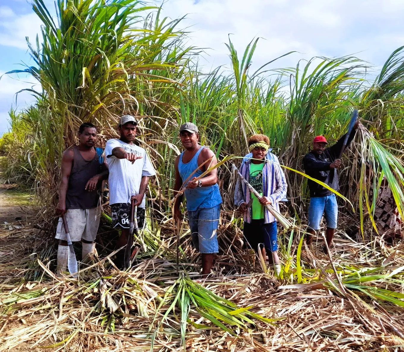 Cane payment announcement after stakeholder meeting: Minister | Fiji Sun