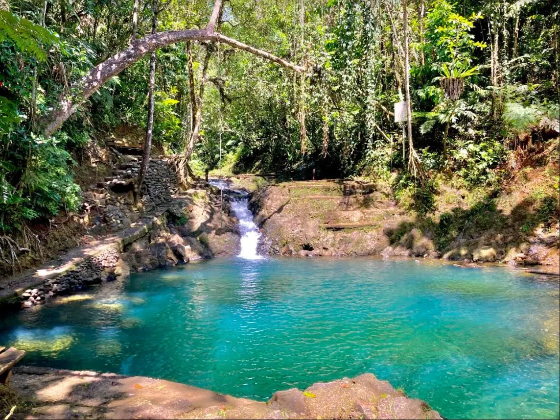 Exploring Fiji’s Colo-i-Suva forest park | Fiji Sun
