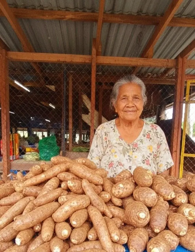 Root crops, resilience and a mother’s love | Fiji Sun