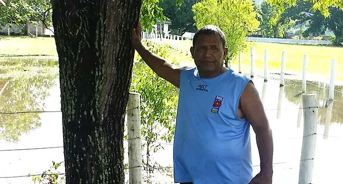 Businessman Offers $60K For Lakeba Sandalwood | Fiji Sun