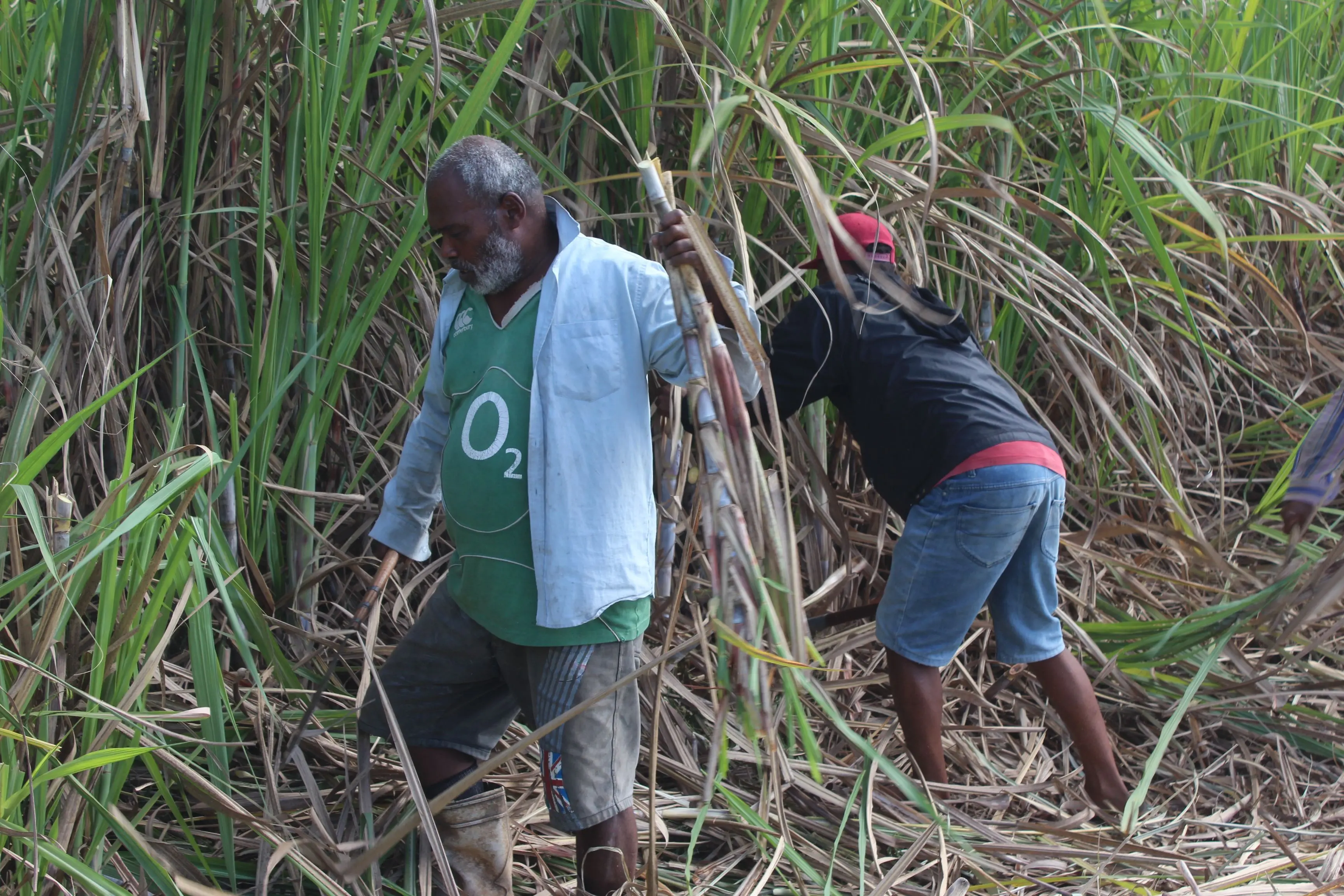 Labasa farmers welcome FSC’s digital shift | Fiji Sun